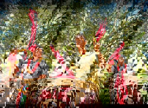 Lūʻau & Packages | Polynesian Cultural Center