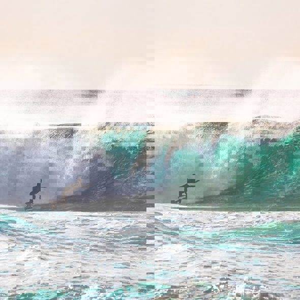 Circle Island Tour Oahu